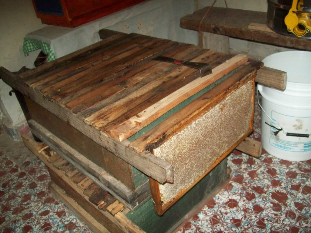 Horizontal hive (long lang) plans and pics | Beesource Beekeeping Forums