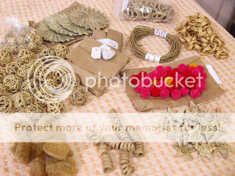 My first order - blu's bird toys & things for wings | Avian Avenue ...