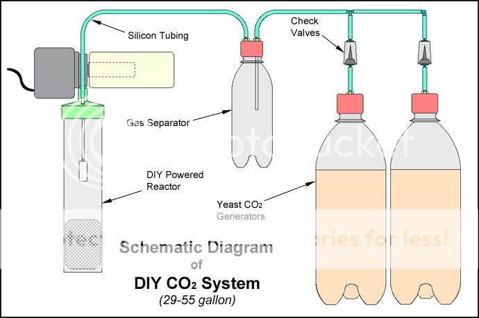 DIY co2? | The Planted Tank Forum